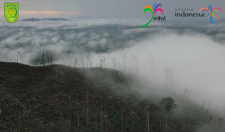 Bukit Condong Indragiri Hilir, Wisata Alam Kini Jadi Idaman Para Pendaki