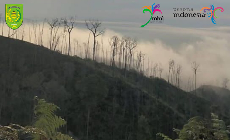 Bukit Condong Indragiri Hilir, Wisata Alam Kini Jadi Idaman Para Pendaki