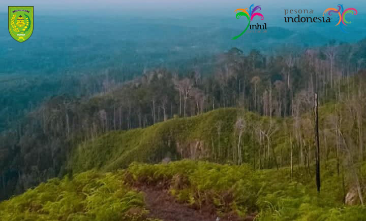Bukit Condong Indragiri Hilir, Wisata Alam Kini Jadi Idaman Para Pendaki