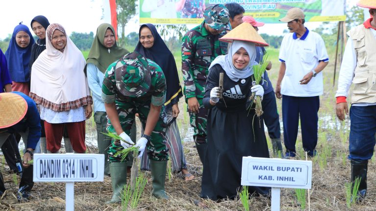 Dukung Swasembada Pangan, Pemkab Inhil Gelar Tanam Padi Serentak